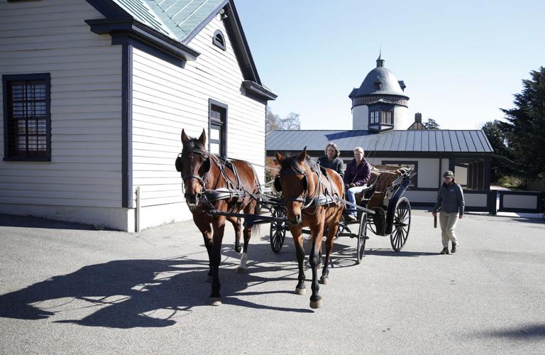 Maymont Farm to re-open March 26 with family-friendly festival