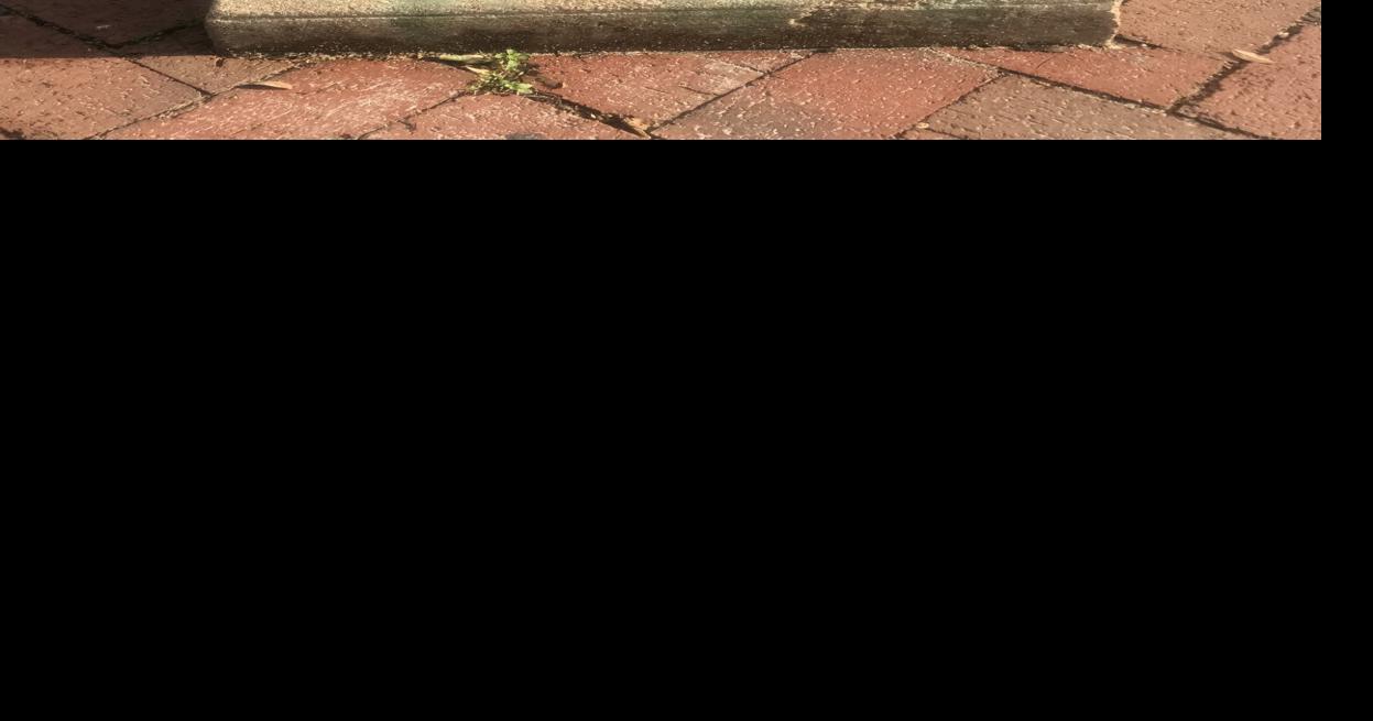 Williams: Move the Fredericksburg slave auction block from its street ...