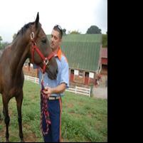 Meet Secretariat's grandson Covert Affairs in annual barn tour benefit
