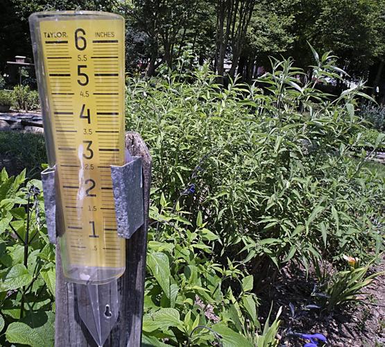 After a three-decade run, Andre Viette's 'In the Garden' radio show ...