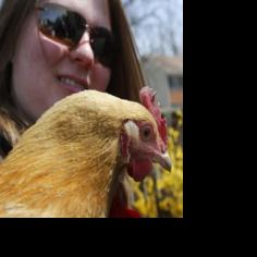1st chicken permit application filed