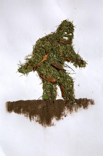 Lawn myth busters: Track down the bad yard-care practices