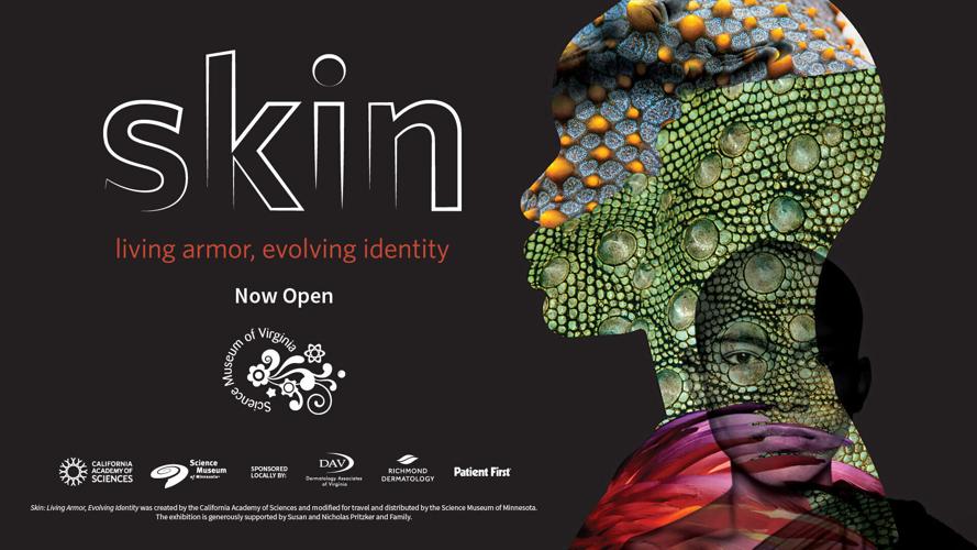 ‘Skin: Living Armor, Evolving Identity’ exhibition opens at the Science ...
