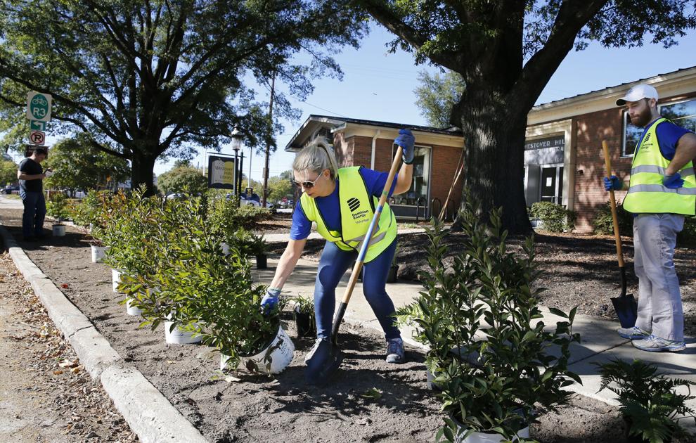 PHOTOS: Rain garden at Westover Hills Library
