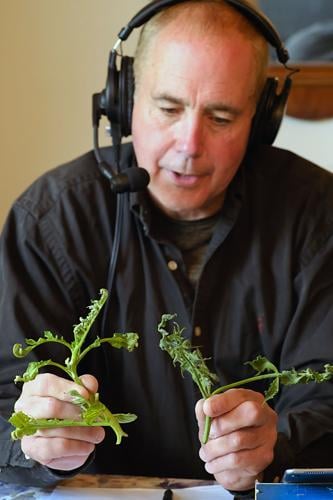 After a three-decade run, Andre Viette's 'In the Garden' radio show ...