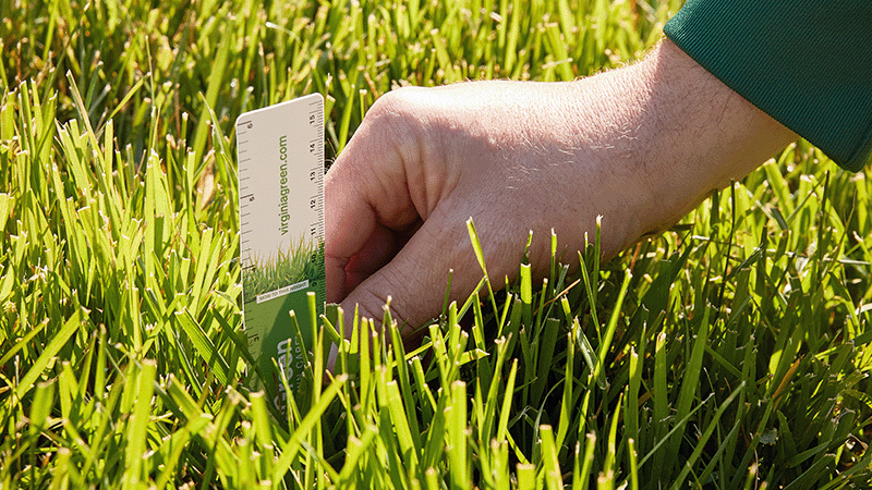 End-of-season lawn care: An industry expert offers do’s, don’ts