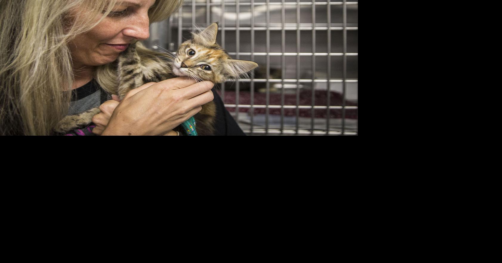 PHOTOS: A best friend to man's best friend: Christie Chipps Peters at ...