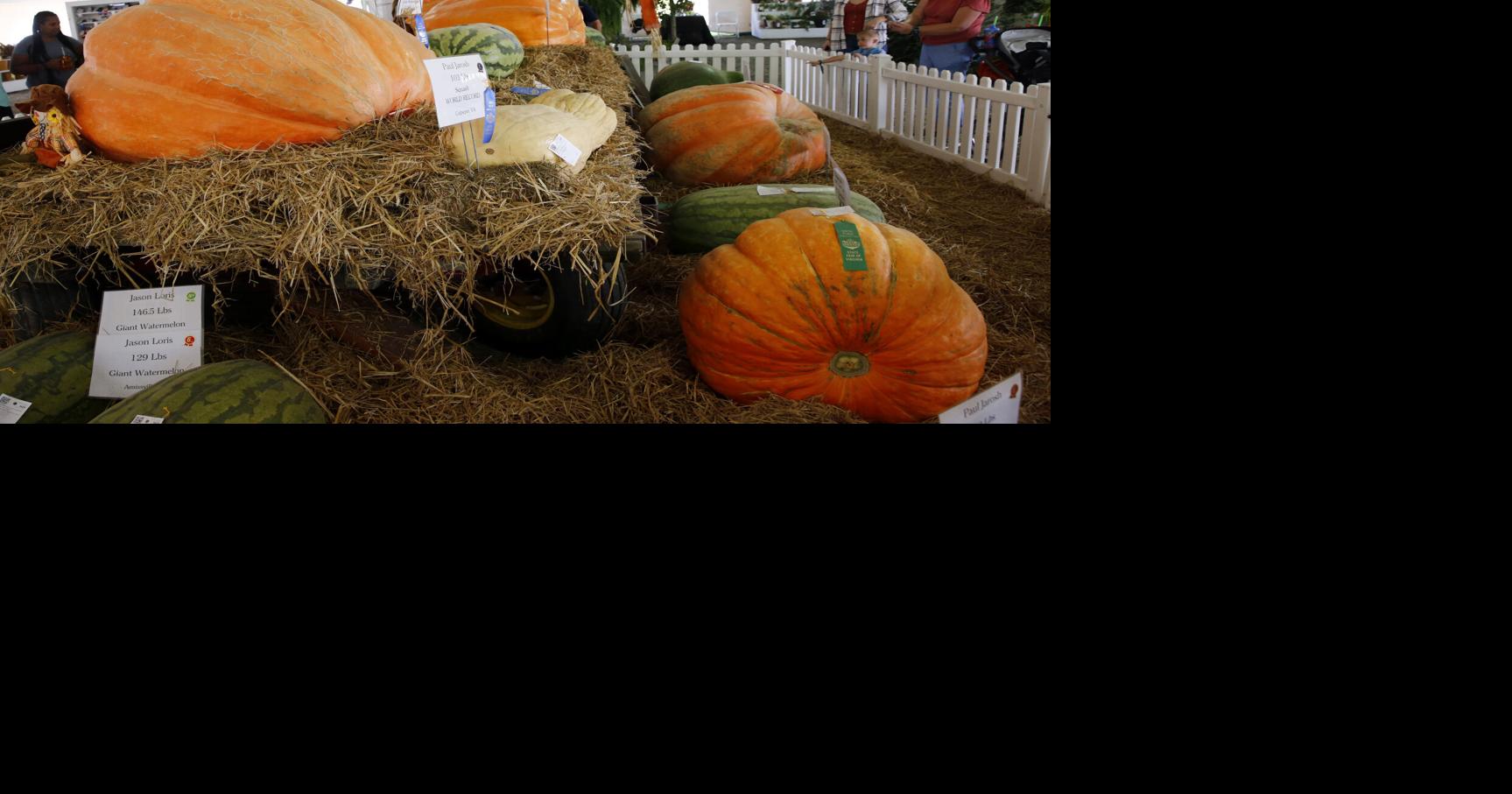 PHOTOS: State Fair of Virginia