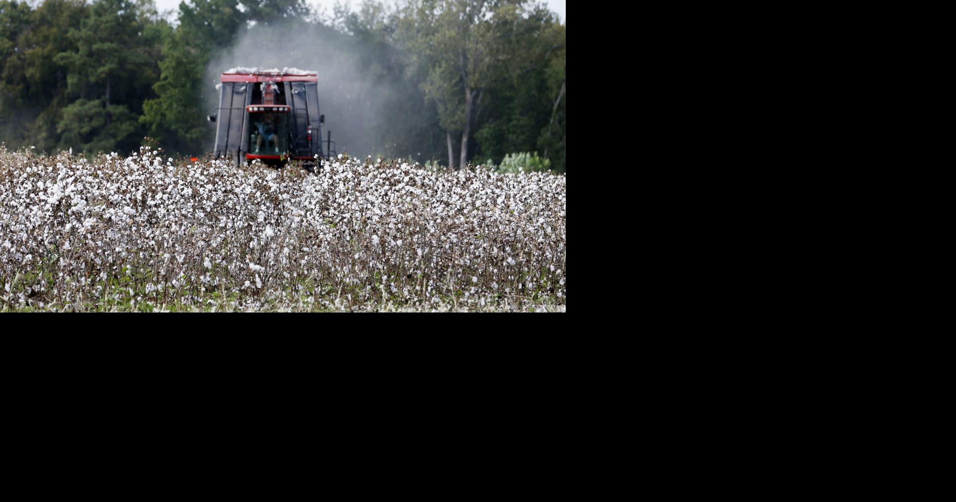 Todd Haymore column: USMCA is essential for Virginia's farms and economy