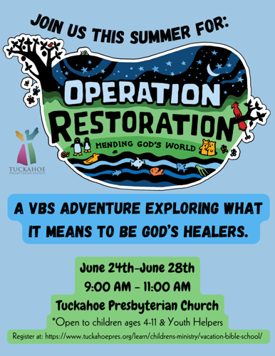 VBS_Flyer_2024.png
