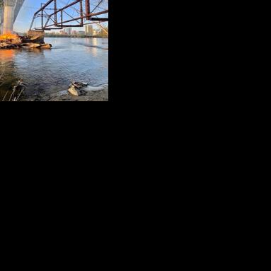 Richmond Fire Department extinguishes Belle Isle fire
