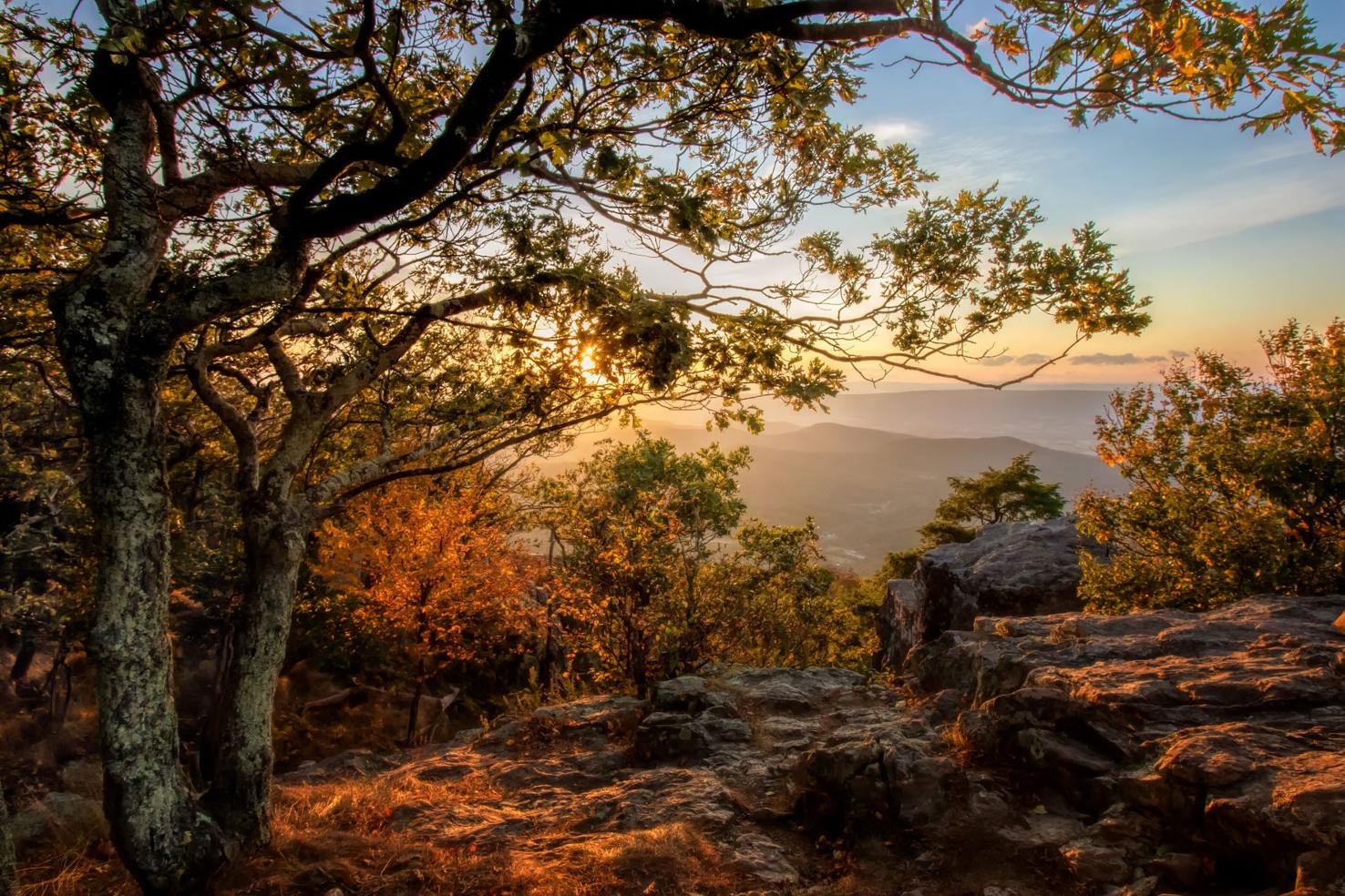 PHOTOS: Winners of Scenic Virginia's 2020 photo contest capture the ...