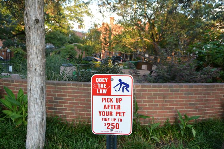 Where Am I RVA? Scuffletown Park