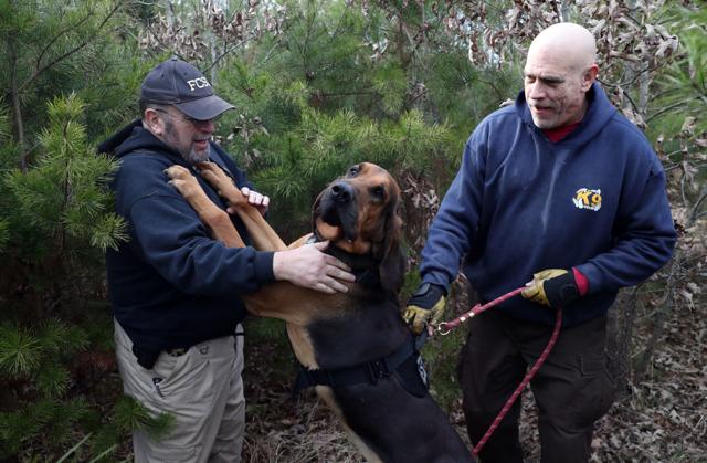 PHOTOS: Bloodhound K9 training