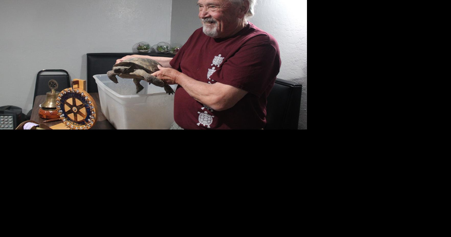 Turtle club promotes care, rescue and adoption | News | ridgecrestca.com