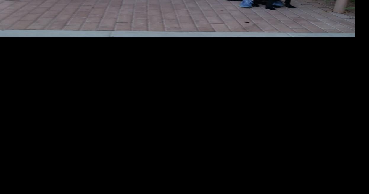 Guide Dogs for the Blind members attend Dog Days of Summer movie night ...