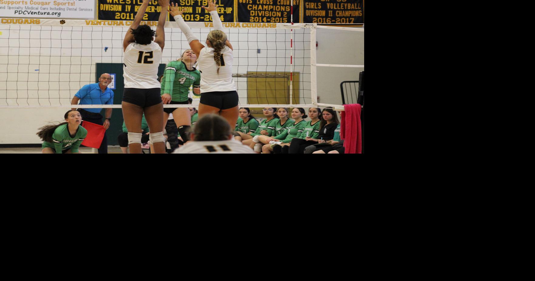 Burroughs volleyball falls to top seed team in playoff | Sports ...