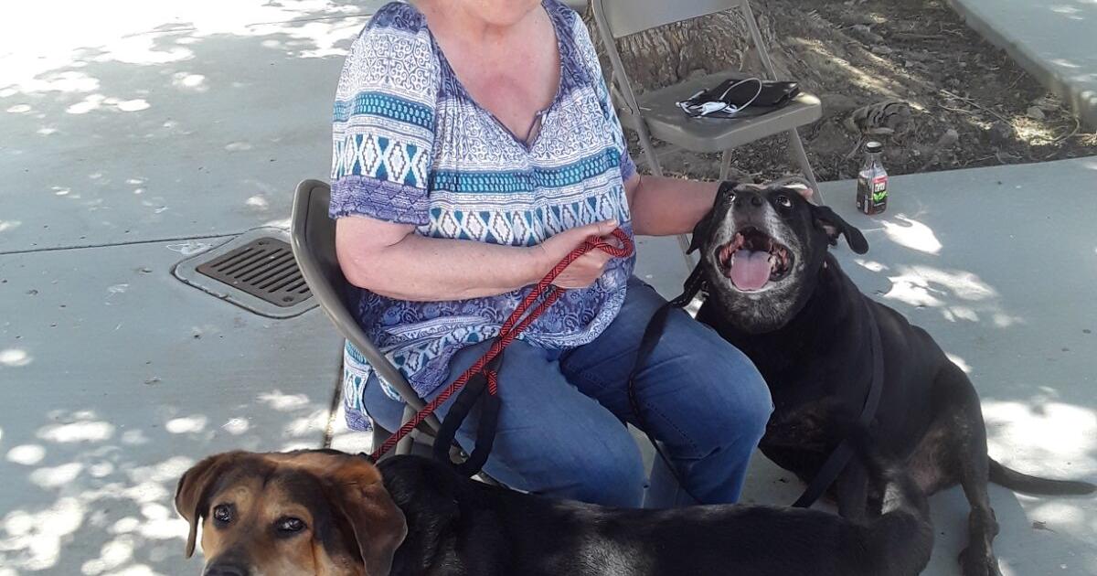 Borel Fire leads to first introductions for evacuated neighbors | News ...