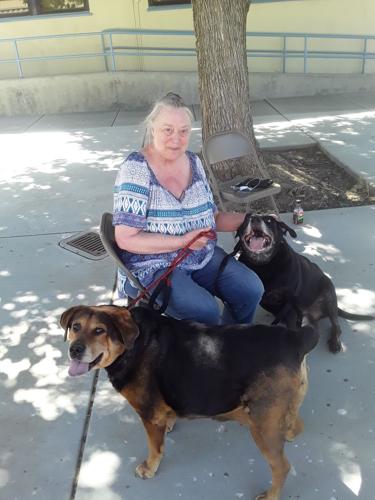 Borel Fire leads to first introductions for evacuated neighbors | News ...