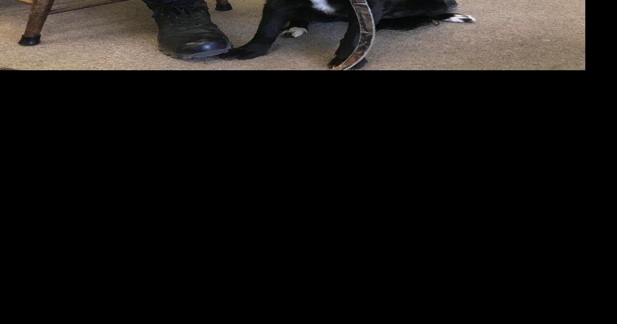 Aaron Edward Hammon | Obituaries | ridgecrestca.com