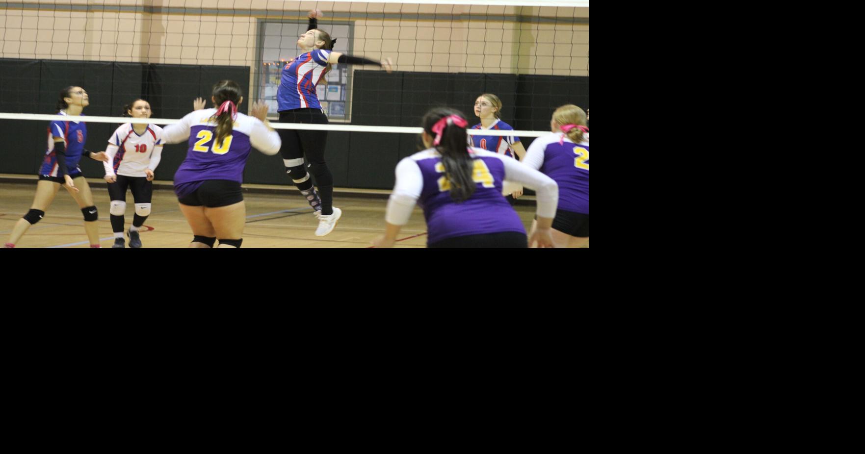 Crusaders volleyball gives all in first-round playoff exit | Sports ...