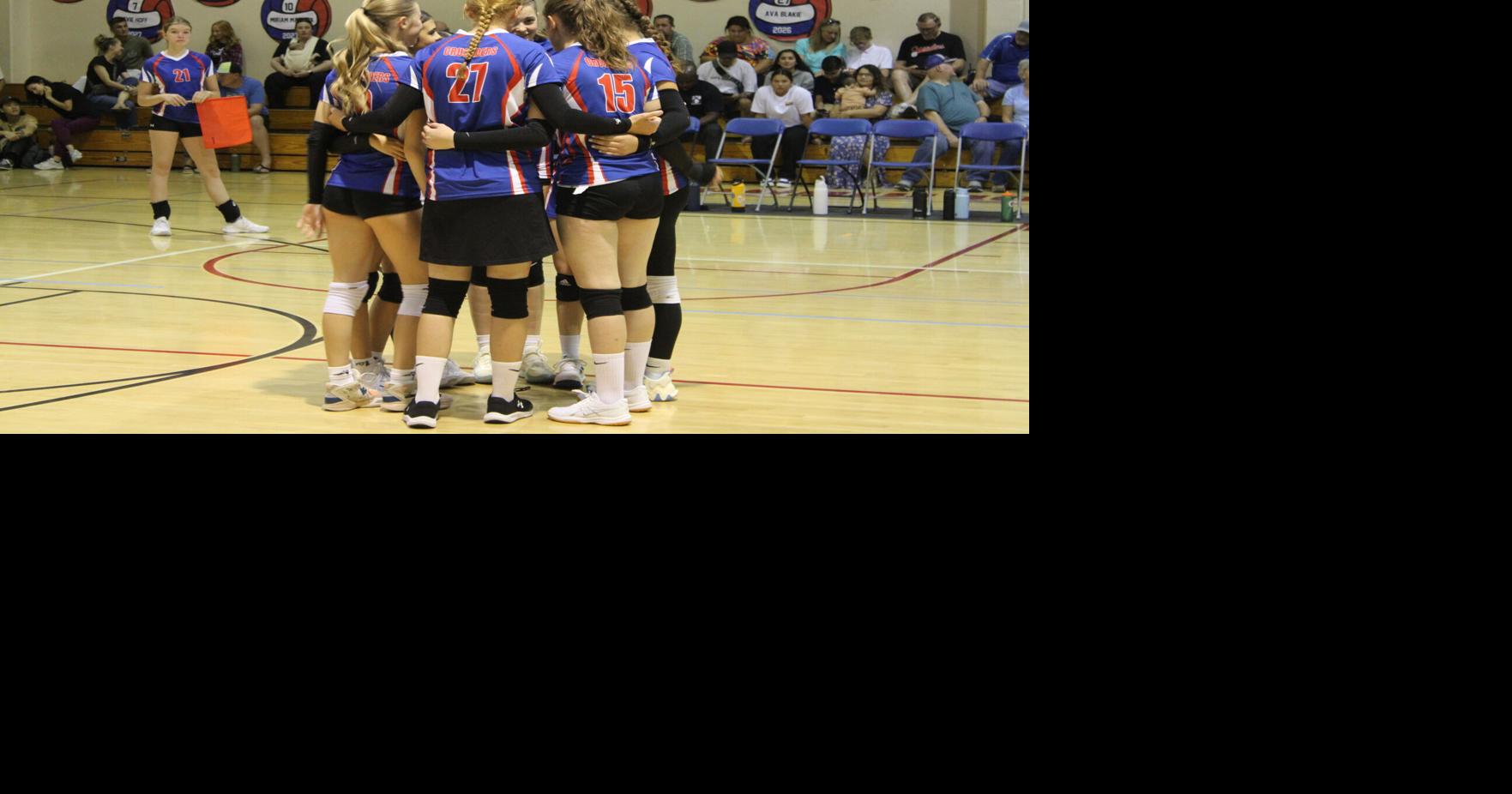 Season Preview: Crusaders volleyball looking to make another postseason ...