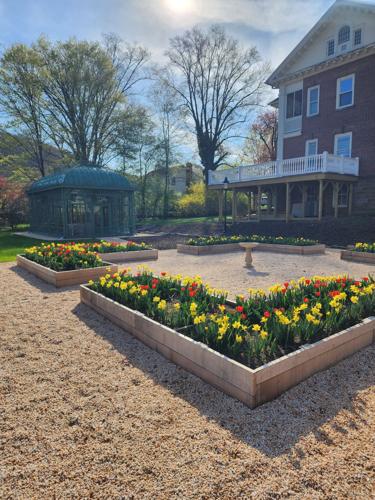 Ridgway Public Library garden looked beautiful for National Library ...