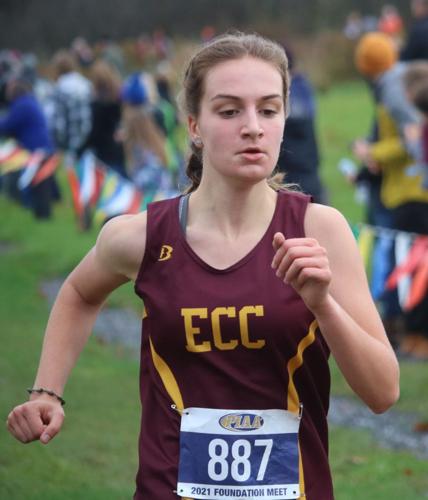 Neubert takes fifth, ECC girls sixth at PIAA championships | Sports ...