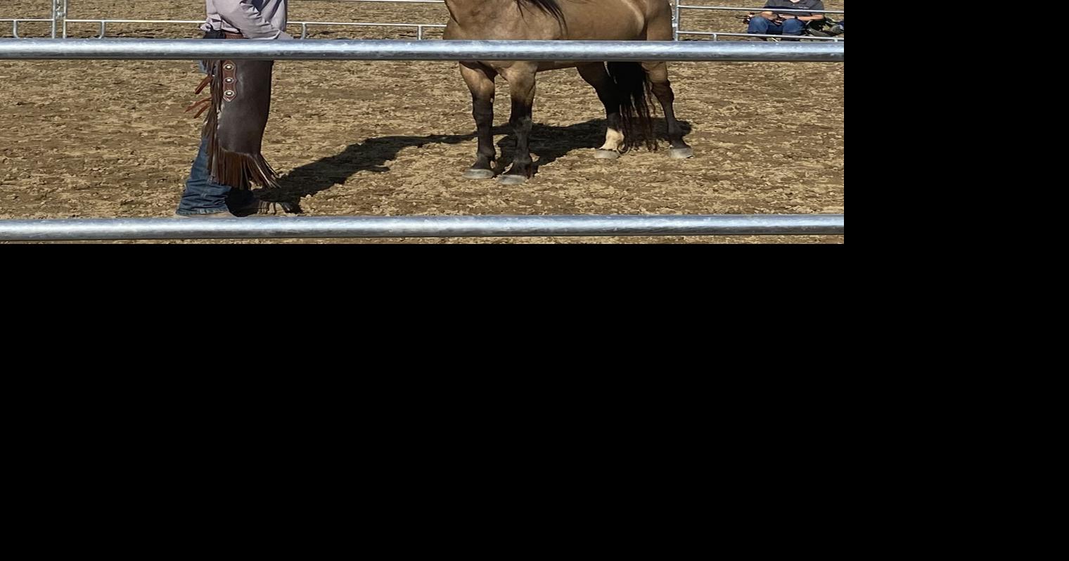 “Spurred to Victory” captures the hearts of the Elk County Fair | News ...