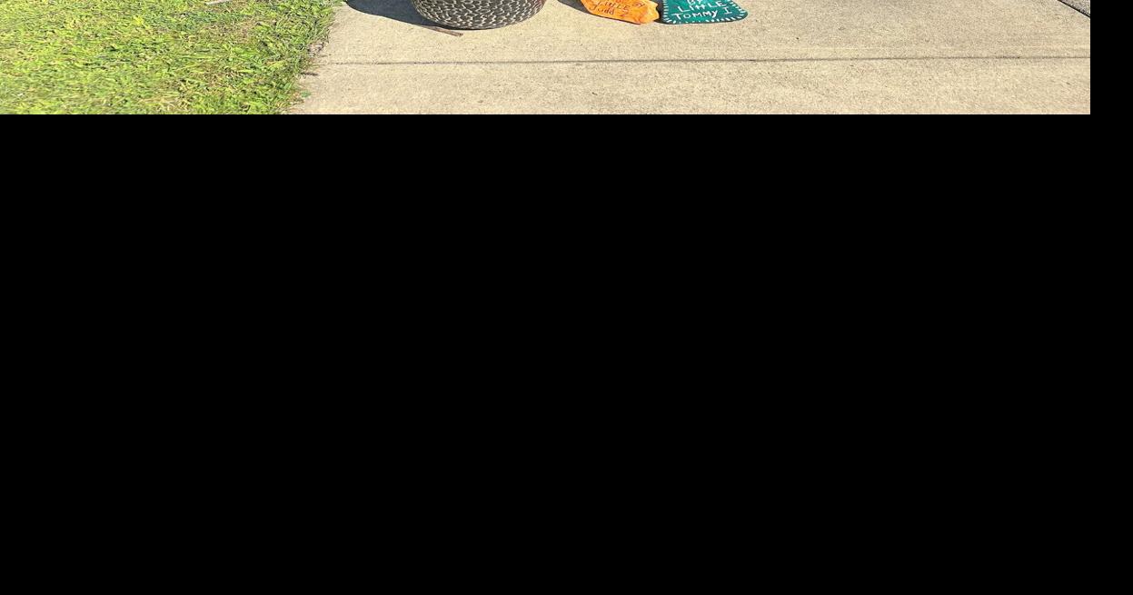 Ramsey, the rock snake, grows larger every day in Johnsonburg | News ...