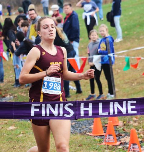 Neubert and ECC win Districts | Sports | ridgwayrecord.com