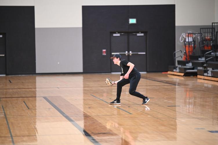 Youth will play role in Tiger baseball team’s success | Sports ...