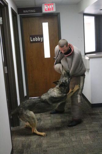 Former Ripon PD K-9 Rony known for service, community ties | Local News ...