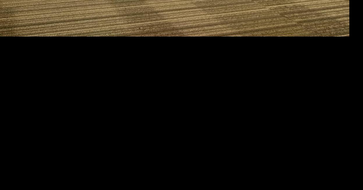 Drug court is one way to keep people out of jail | Local News ...