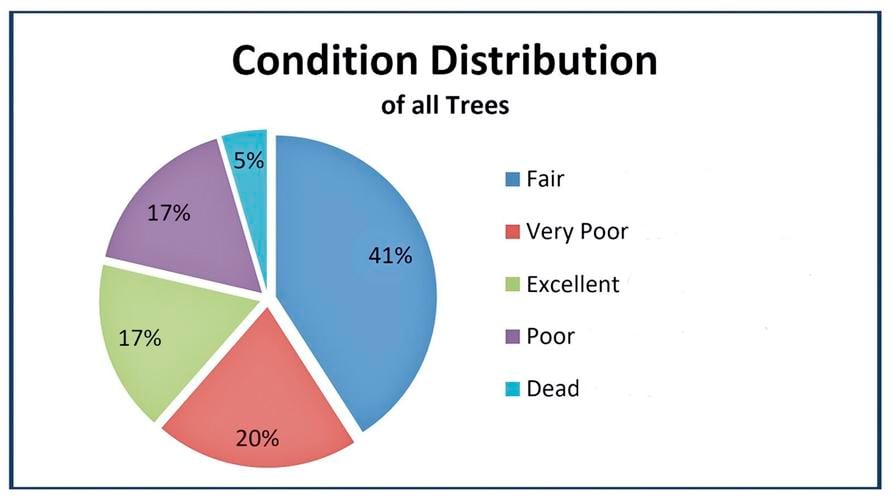 Ripon Common Council approves urban tree management plan | Local News ...