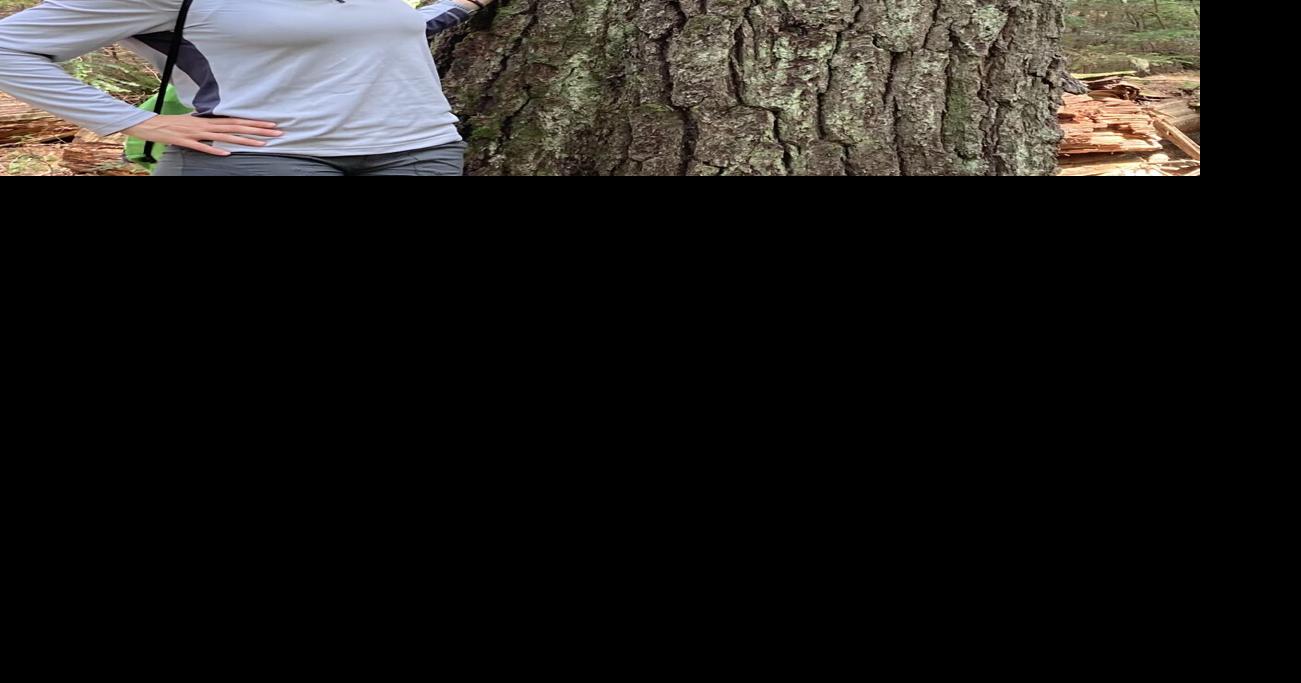 Ripon College graduate Anderson honored as ESA Early Career Fellow ...