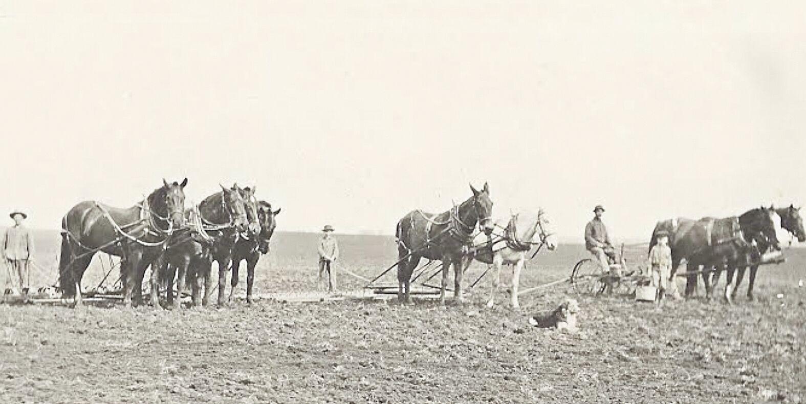 Berlin's Schram Farms has evolved through generations, will host FFA ...
