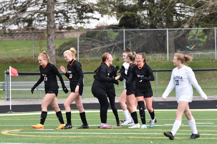 Ripon Tiger girls' soccer team soars past Comets behind Rost’s two ...