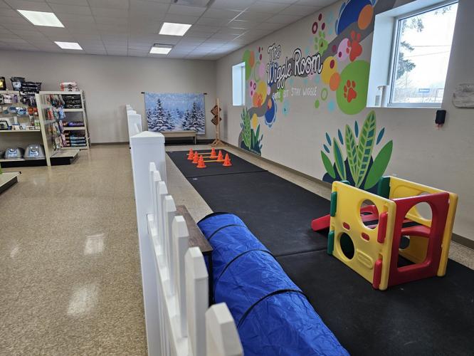 Animal House Pet Supply: A one-stop shop for pets | Local News ...