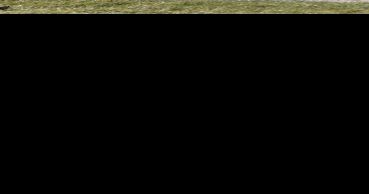 Ripon High School baseball at Markesan — April 10, 2023 (Miya Grunert ...