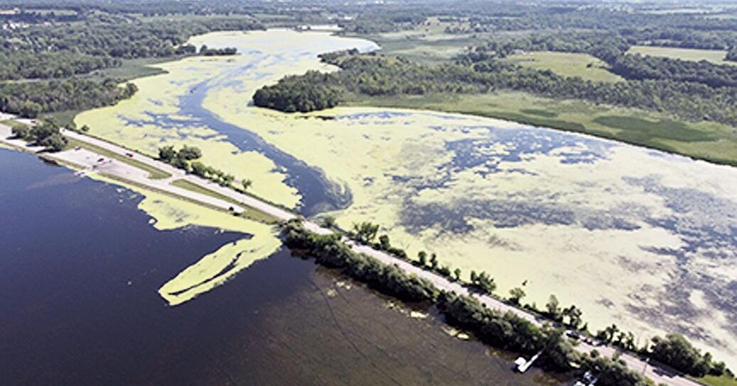UW-Stout limnology supports efforts to improve Green Lake | Local News ...