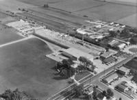 Cookie production has long history in Ripon | Local News | riponpress.com