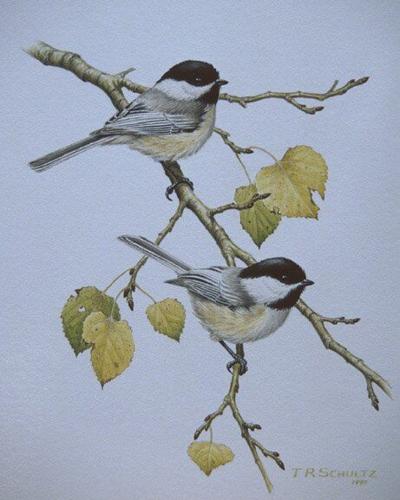 Thomas Schultz is Town Square Lobby Gallery artist of the month | Local ...