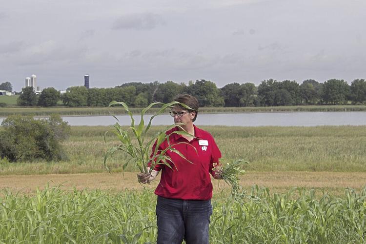 Family Field Day showcases sustainable agriculture | Local News ...