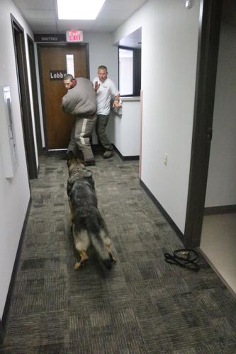 Former Ripon PD K-9 Rony known for service, community ties | Local News ...