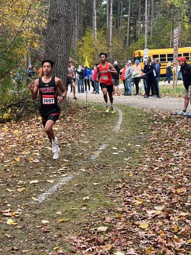 Ripon Tiger cross country team finishes season on high note with career ...