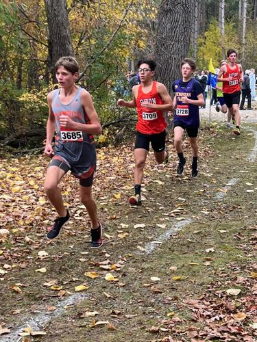 Ripon Tiger cross country team finishes season on high note with career ...
