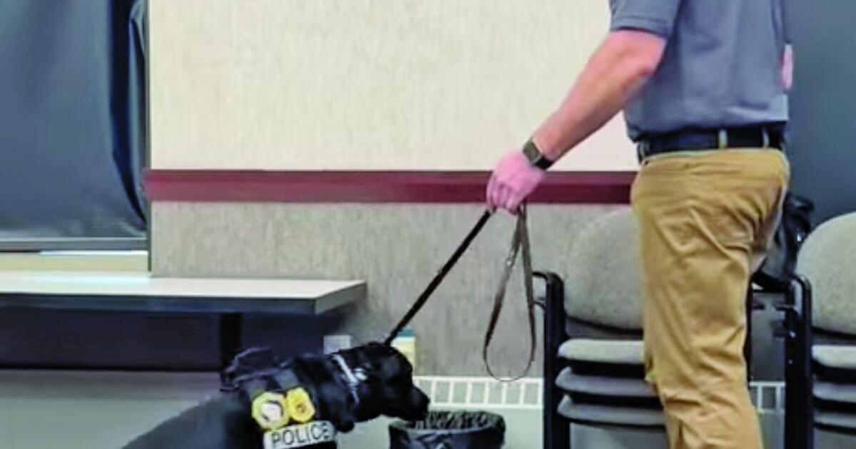 Electronic sniffing K-9s take a bite out of cyber crime | Local News ...