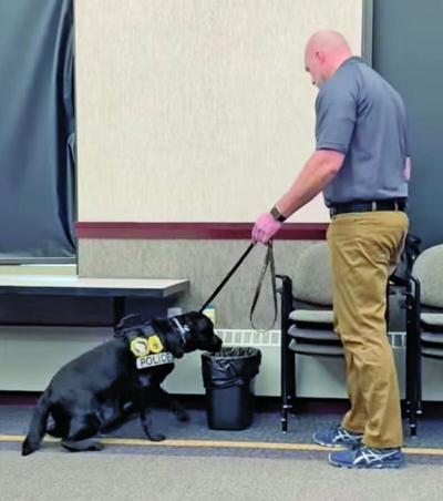 Electronic sniffing K-9s take a bite out of cyber crime | Local News ...
