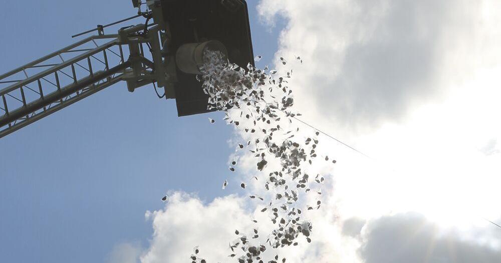 Ripon's signature Cookie Daze has been discontinued, chamber cites ...